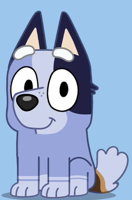 Blueyブルーイのキャラクター紹介イトコや叔父叔母と祖父母まで｜BlueyJapan.com